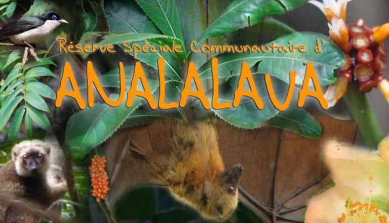 Sites à visiter Manda Beach Foulpointe Tamatave Madagascar